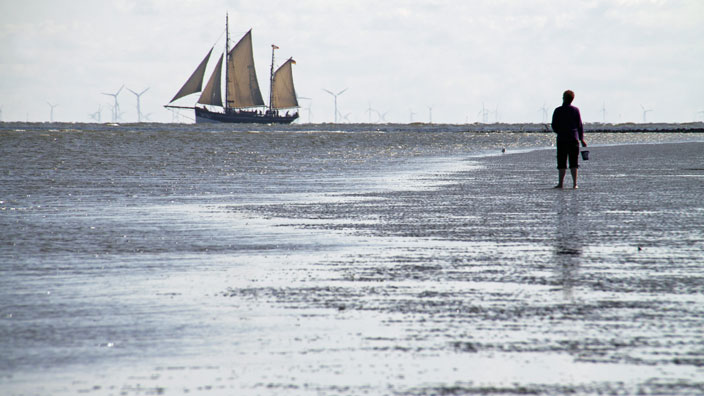 World Heritage – the Wadden Sea