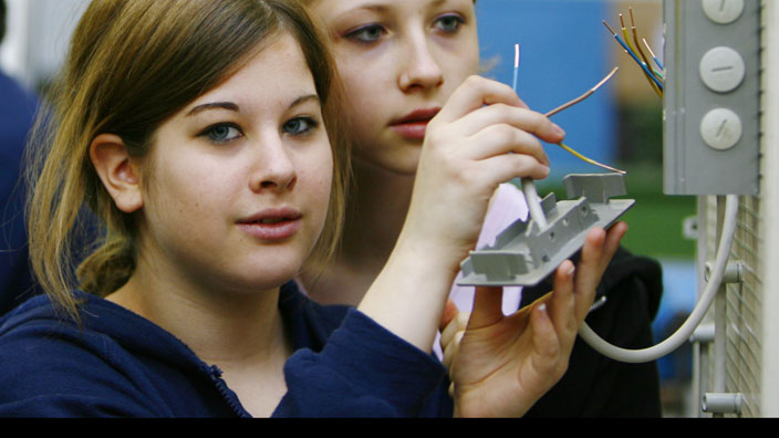 Dual vocational training system