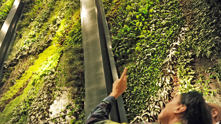 Paredes Verticales De Patrick Blanc Patrick Blanc's Vertical Gardens