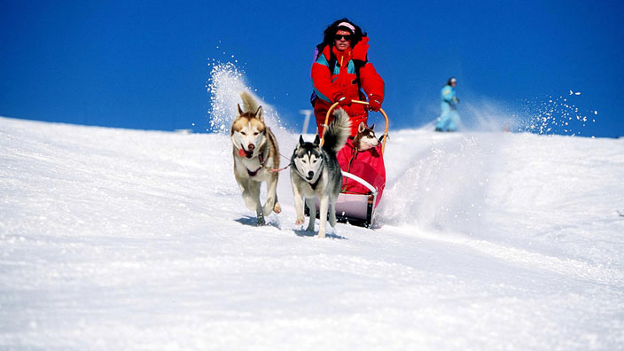 Juegos olímpicos de invierno para todos en Alemania