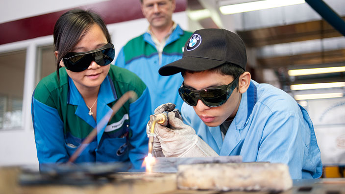 Dual vocational training system