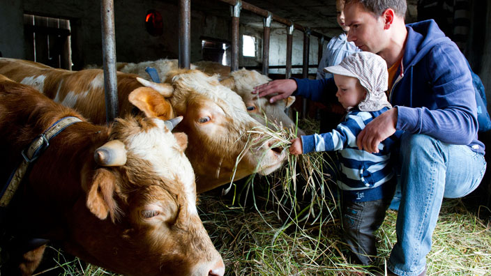 Discover Deutschland: farm holidays