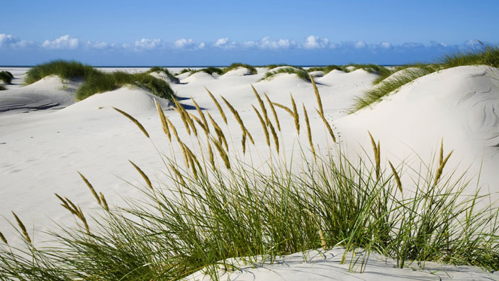 Beautiful beaches in Germany