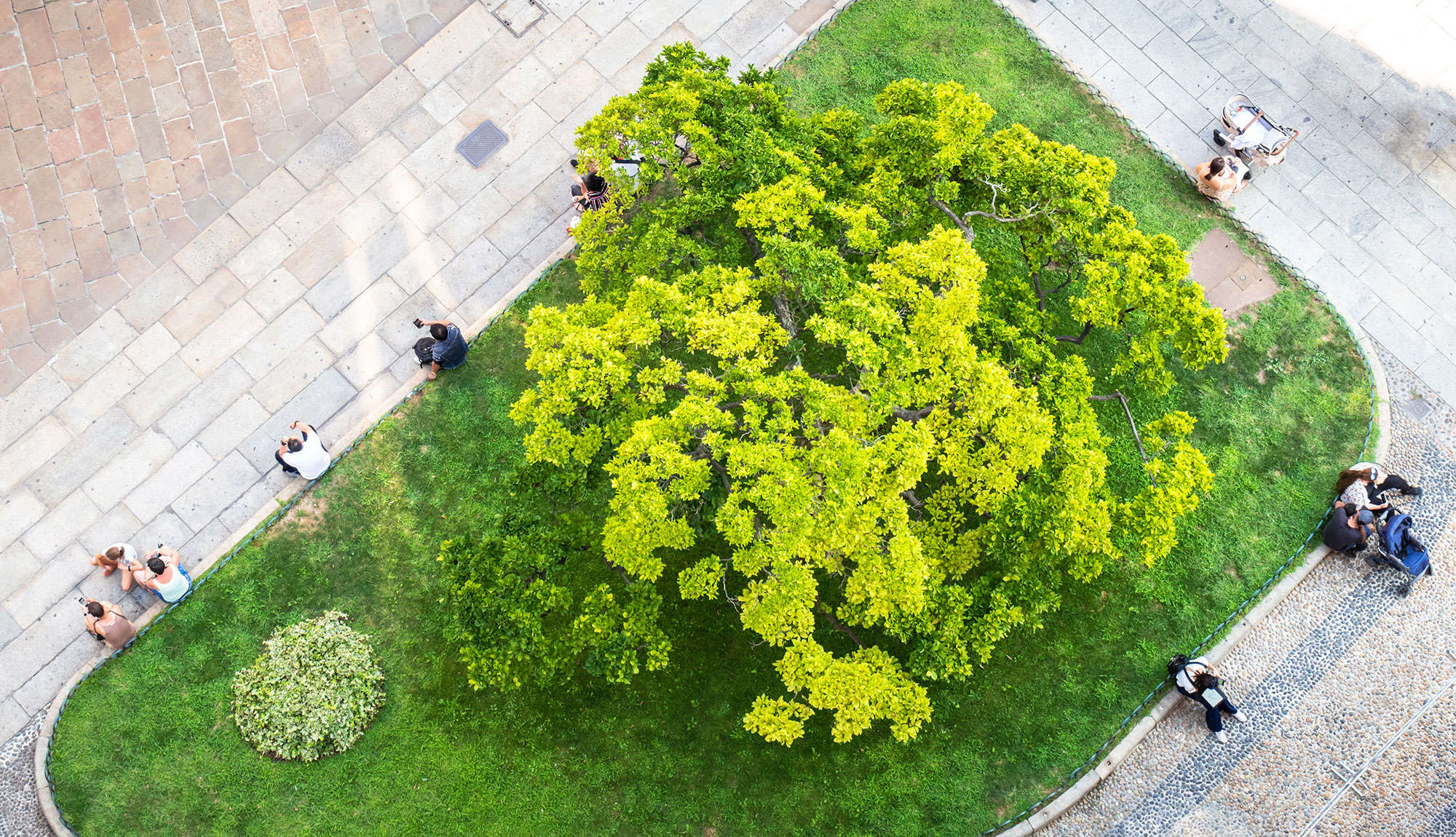 Sustainable companies in Germany | Sustainability