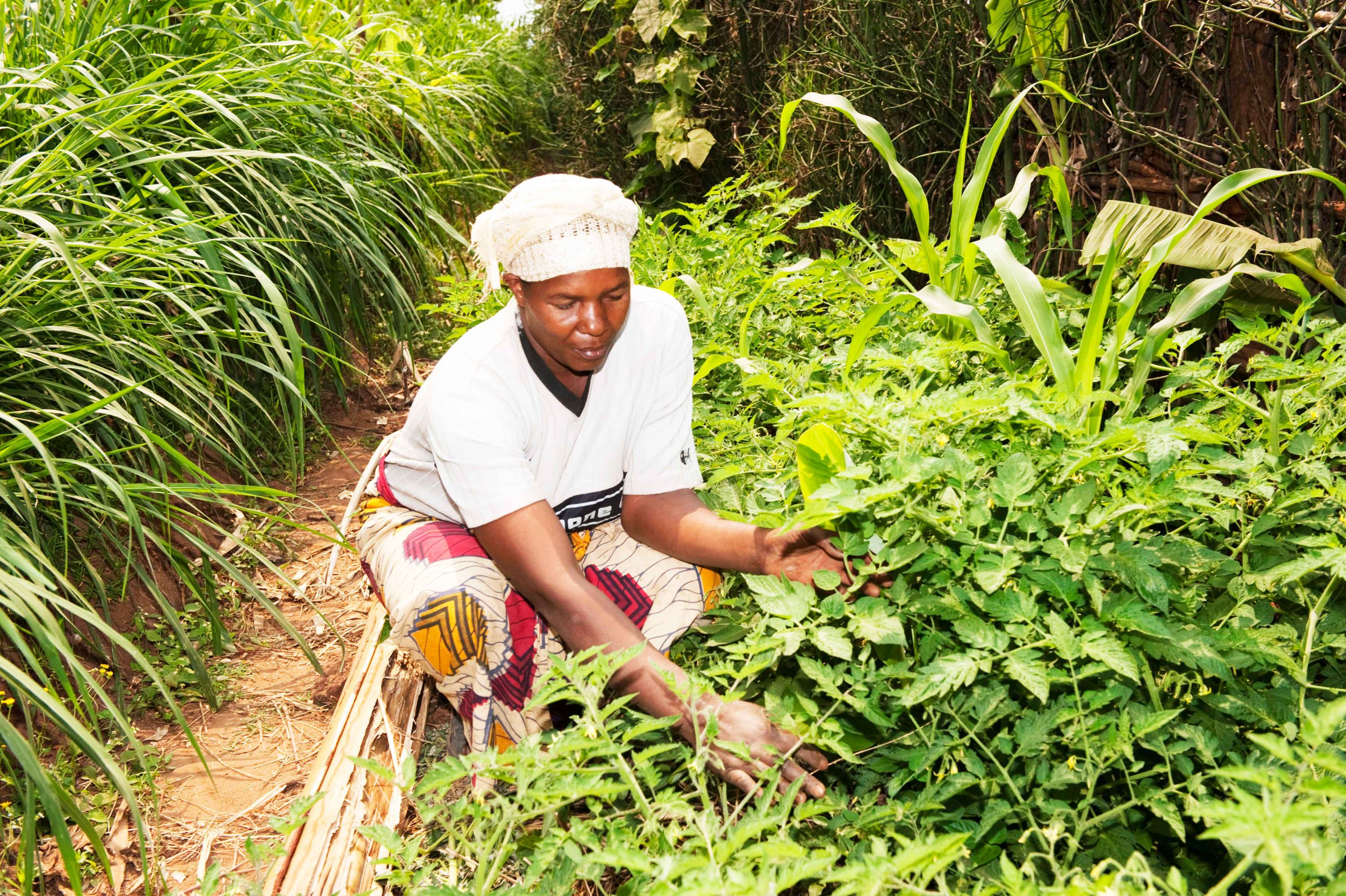 Climate action in Africa | Women in science