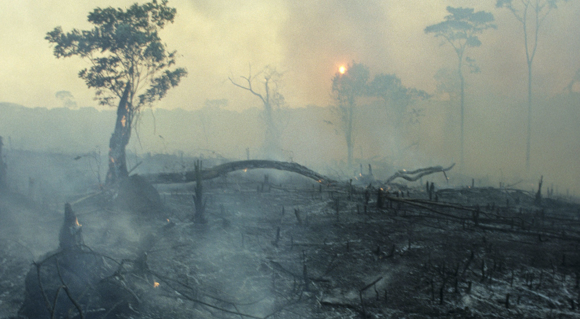 Riesige Waldbrände am Amazonas