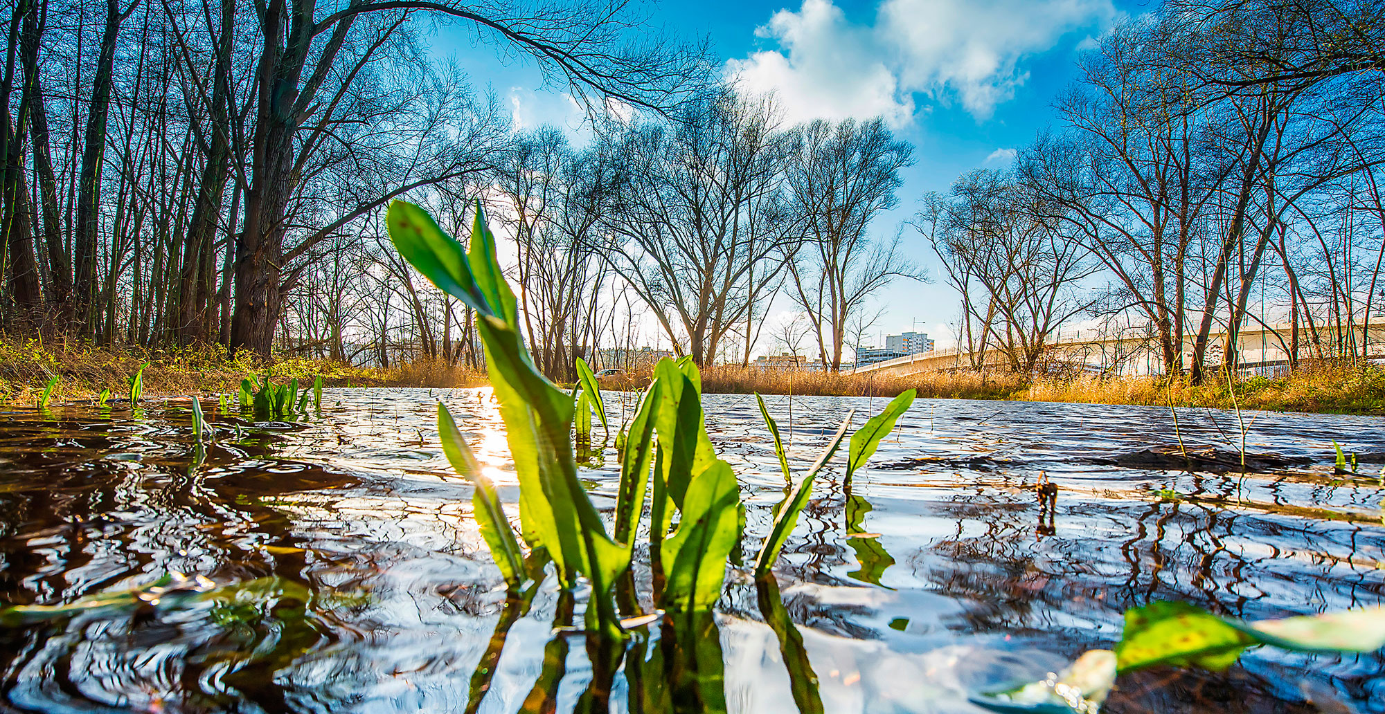 Renaturation of rivers in Germany