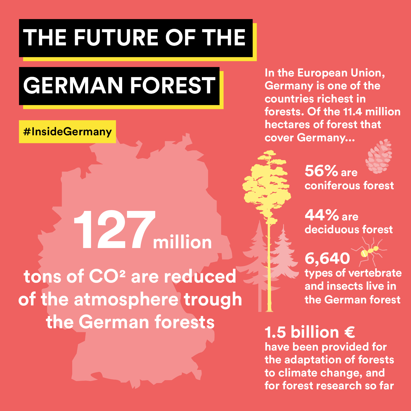The future of the german forest