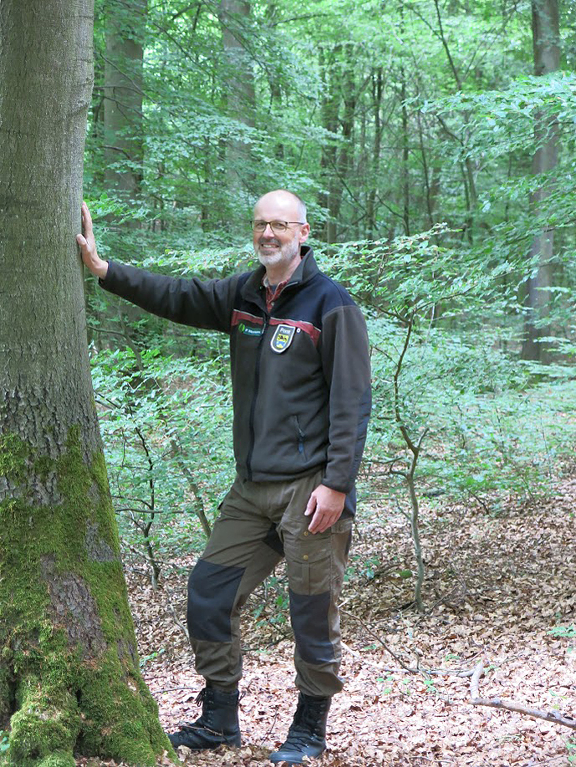Peter Wohlleben: perspectives of the german forests