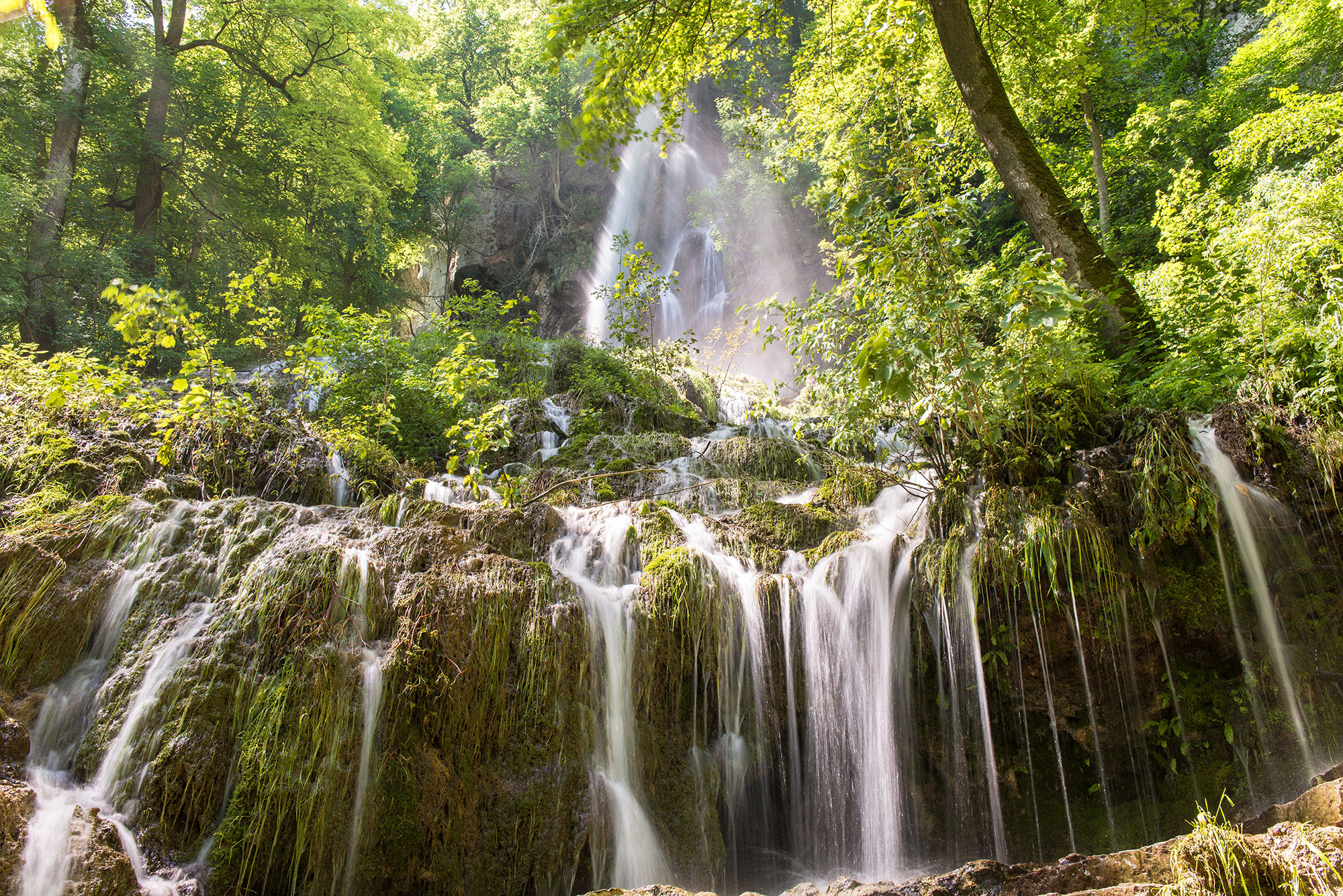 Environmental protection in Germany