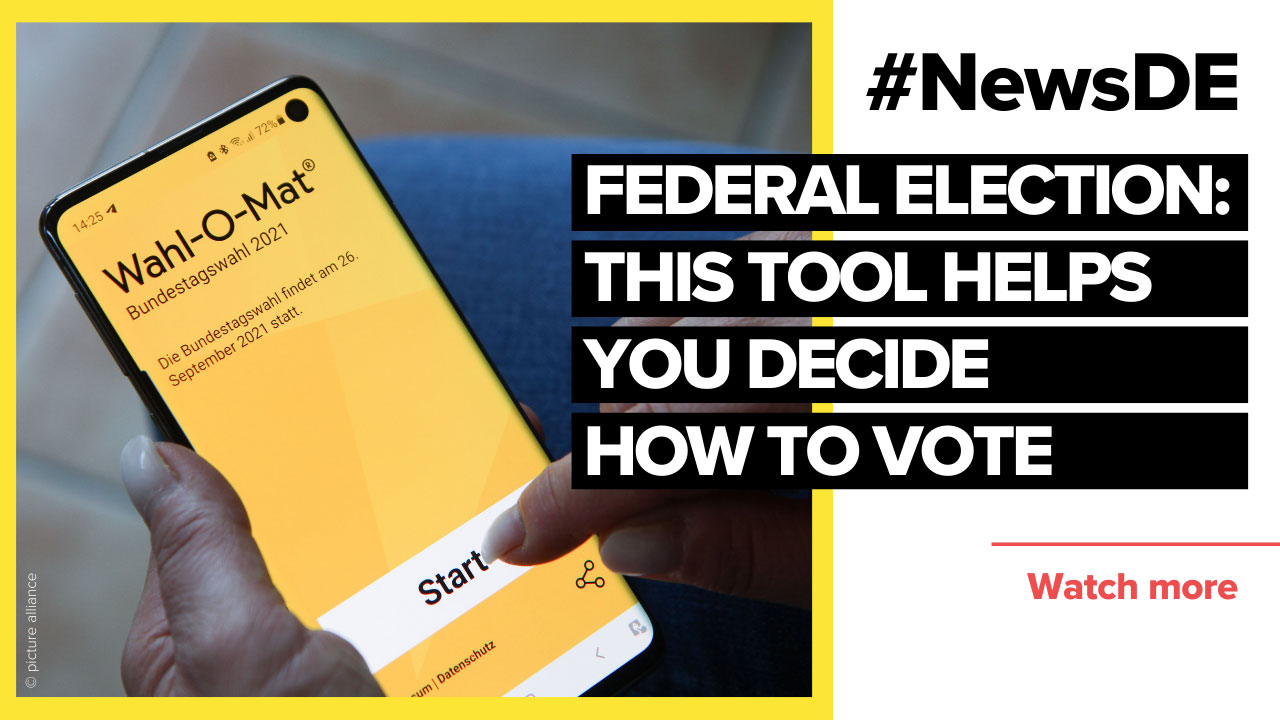 This tool helps you decide how to vote
