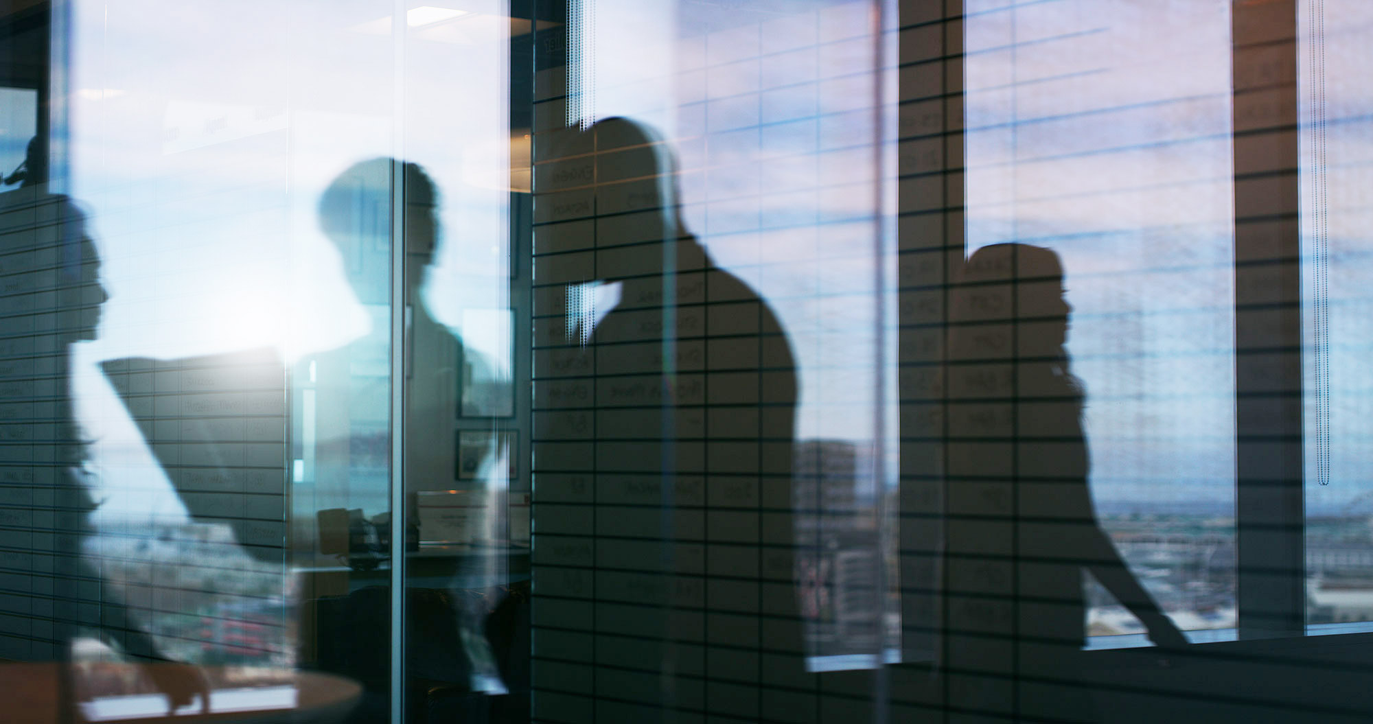 Top secret: Germany’s intelligence services