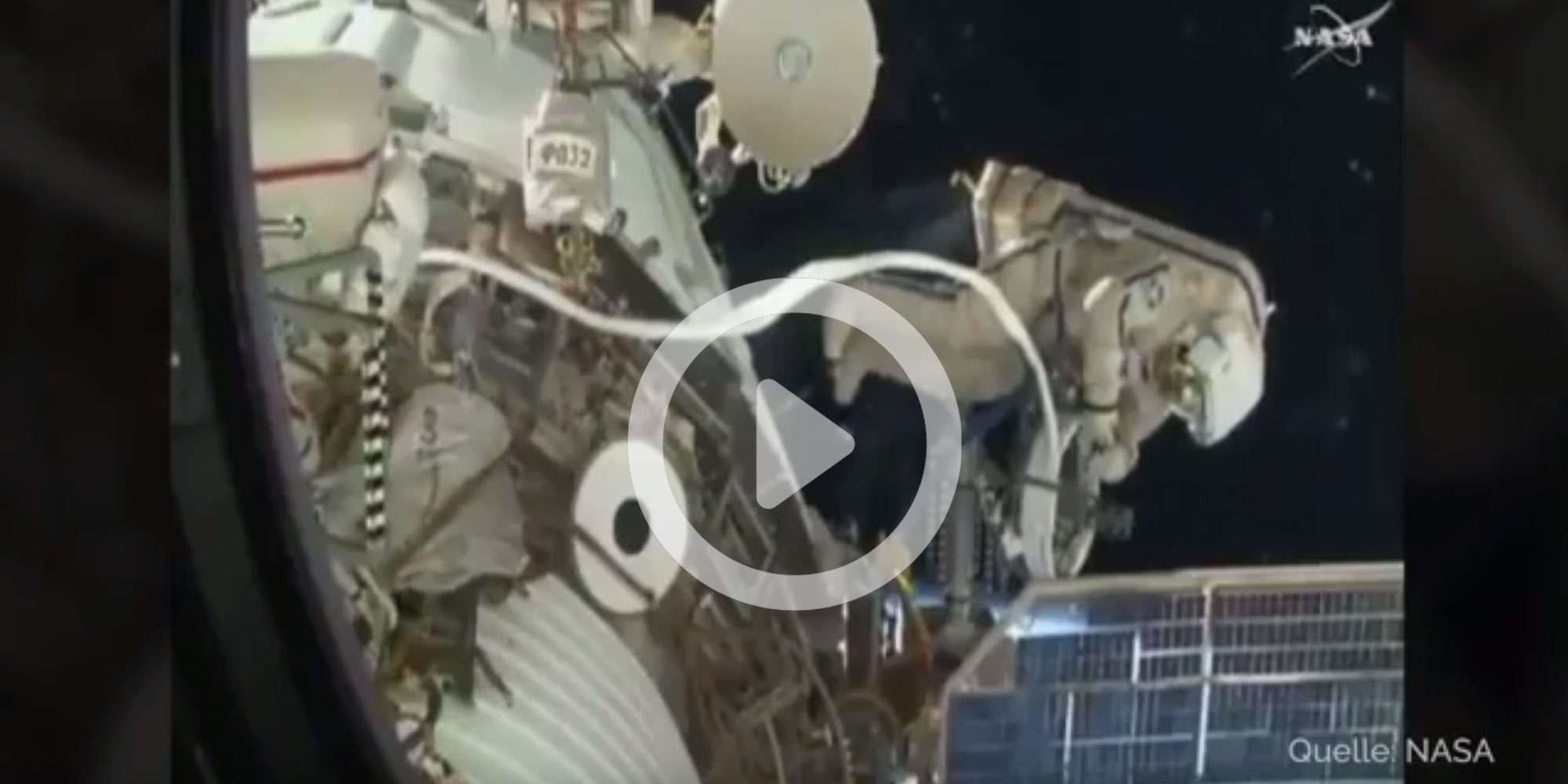 Tierbeobachtung aus dem All