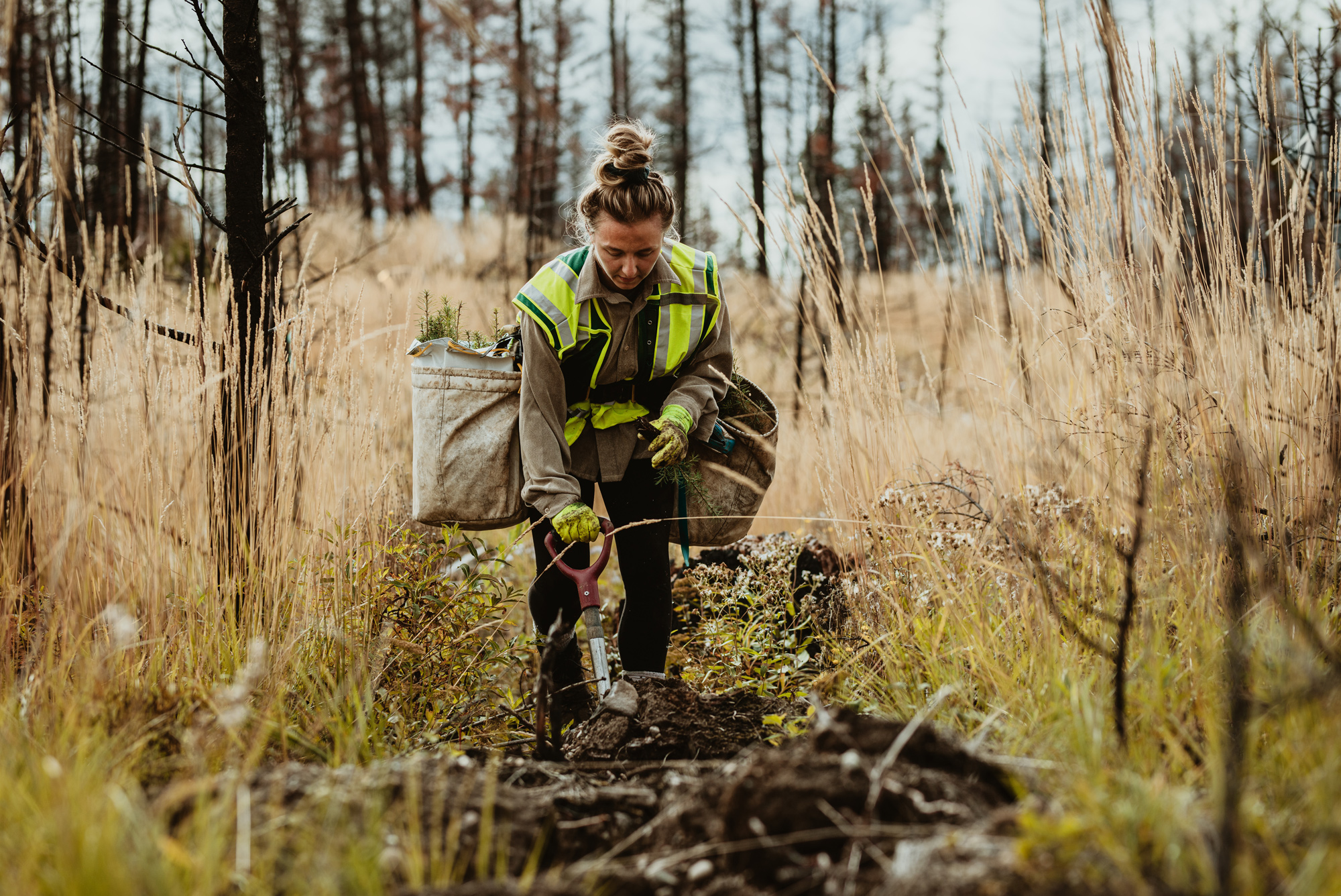 UNESCO Biosphere Reserves Germany | Volunteering