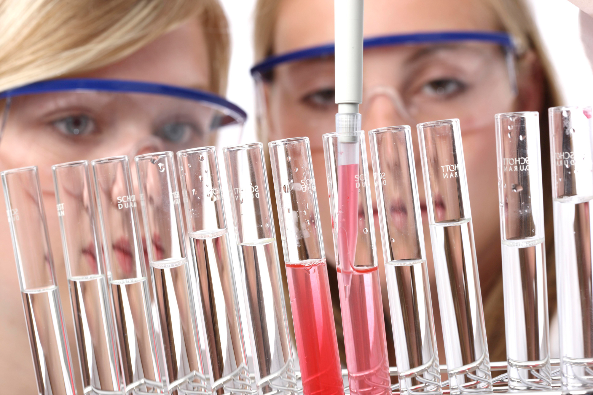 Young researchers in Germany: a portrait of highly qualified professionals