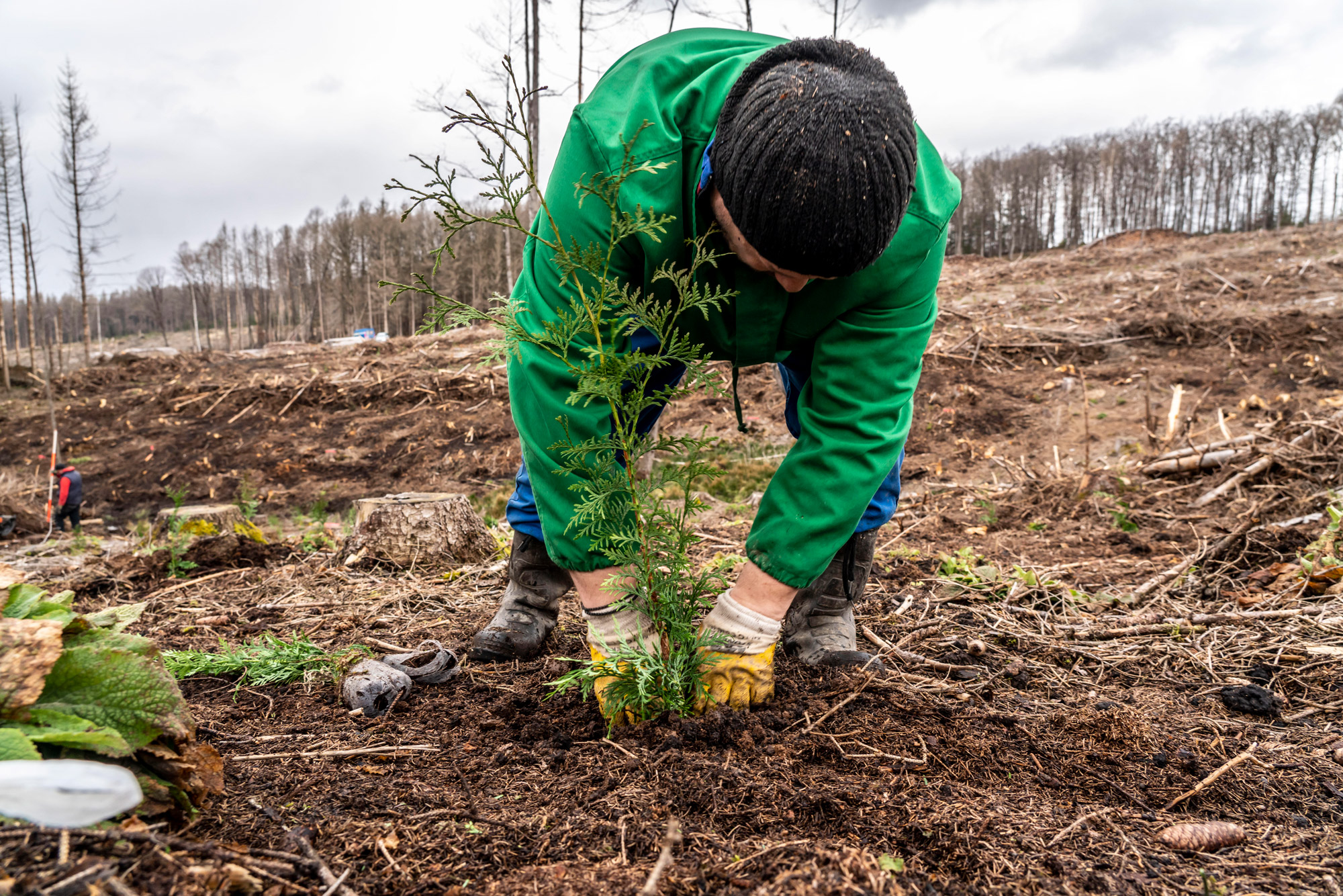 Germany and environmental protection | Adaptation strategy
