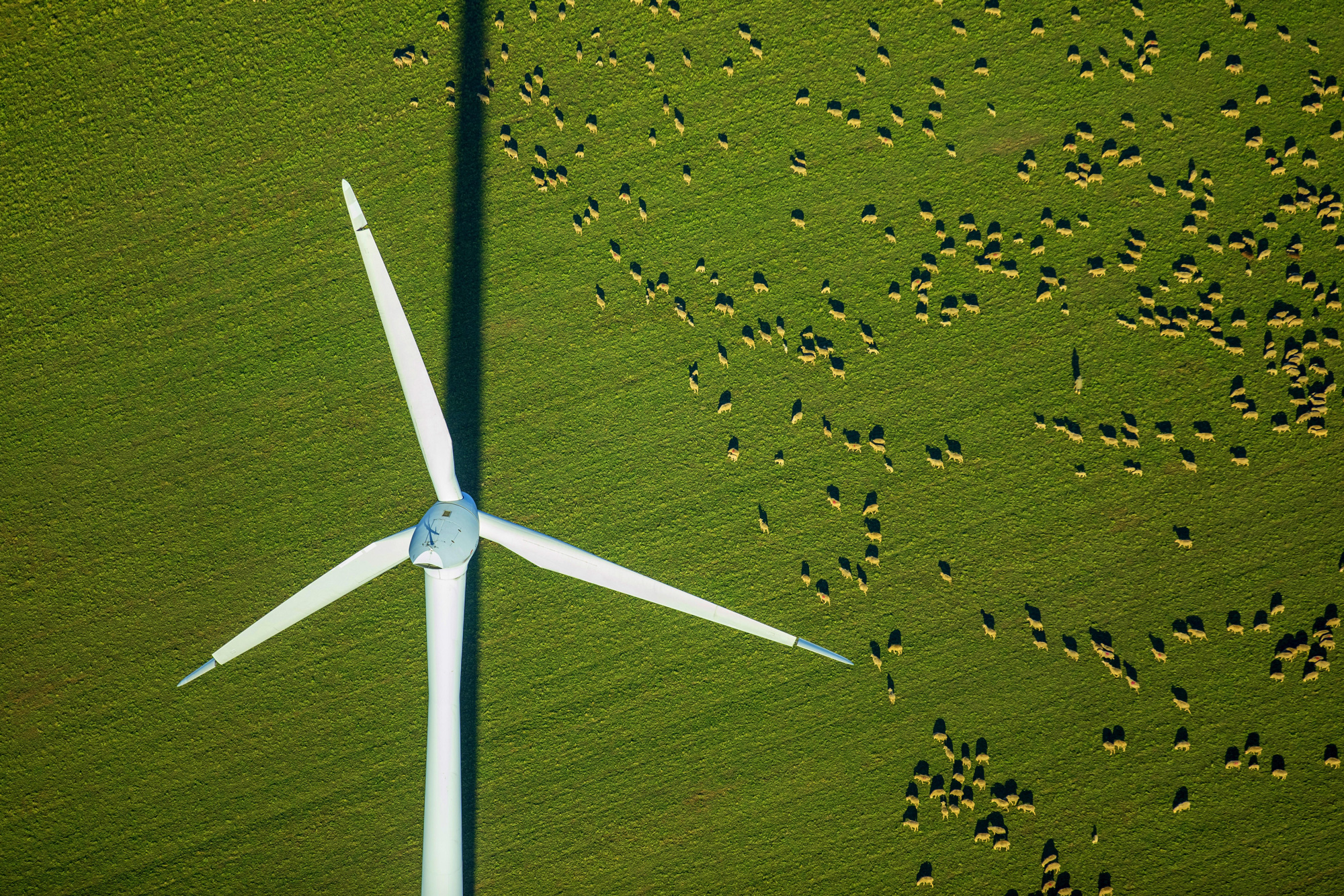 German sustainable development strategy: goals and opportunities