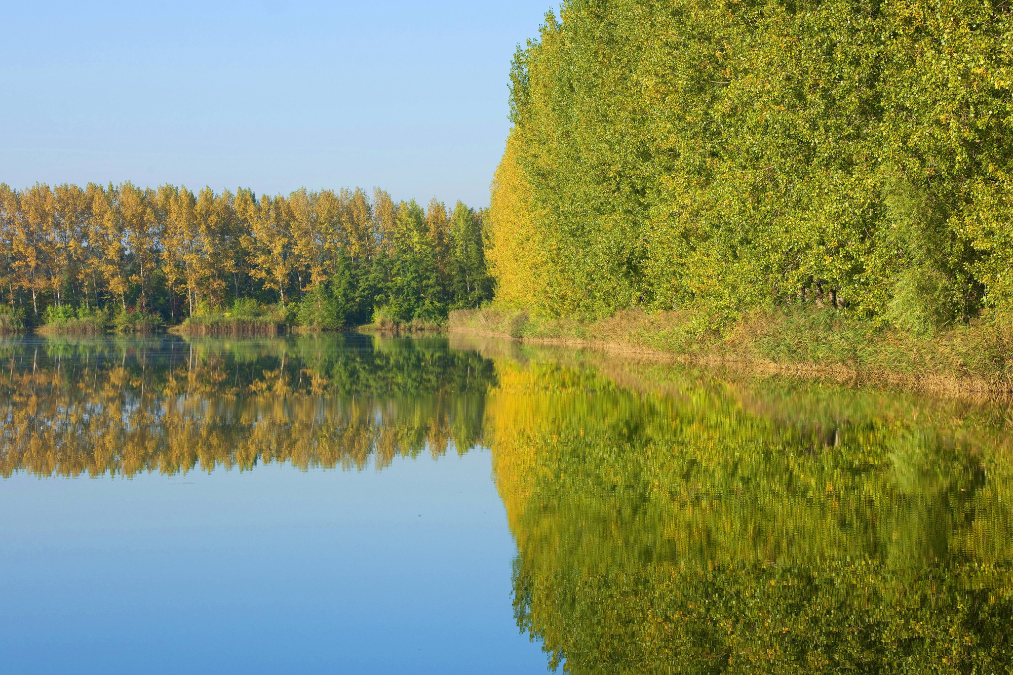 Bioeconomía: Una cuenca minera como portadora de esperanza