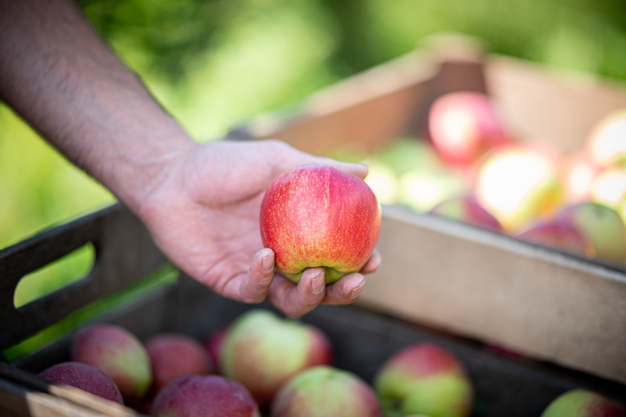 Food Waste In Germany And Worldwide Food Waste In Germany And Worldwide