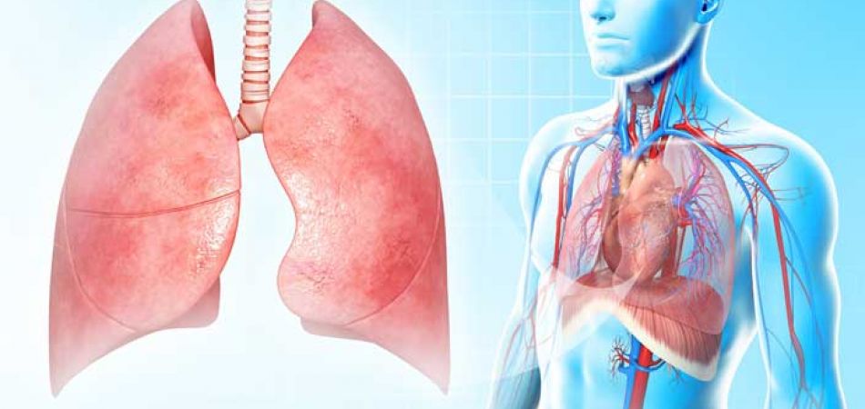 Création d’une école du poumon