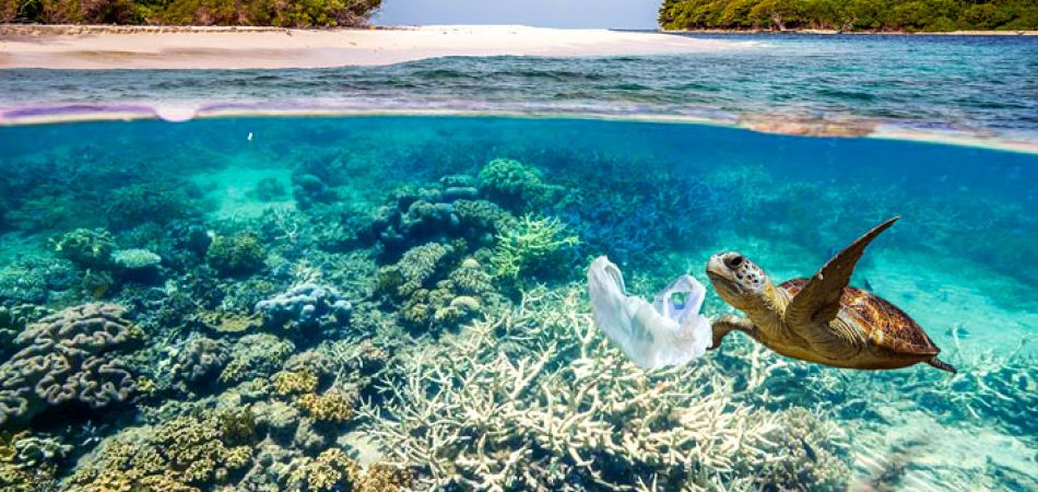 Freeing the ocean from garbage: initiatives from Germany