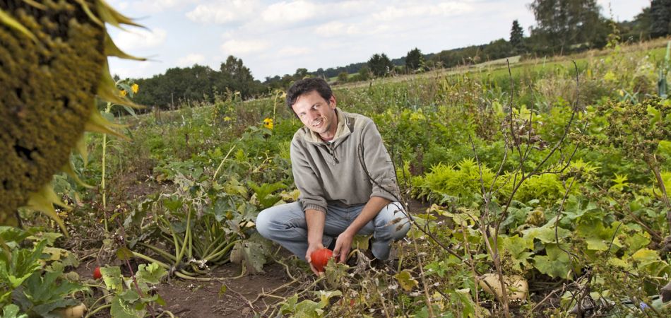 Ökologische Landwirtschaft in Deutschland
