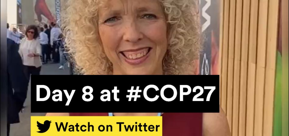 Day 8 at #COP27
