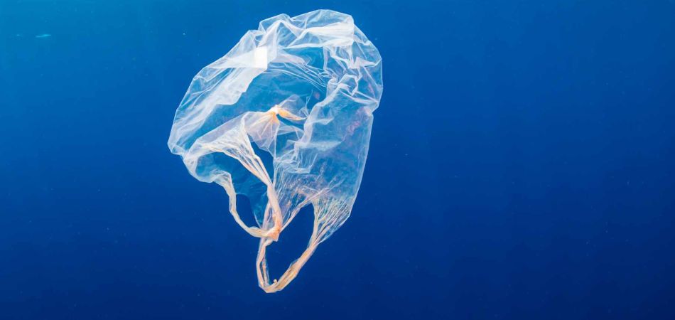 Single-use plastic ban: EU promotes recycling and repair