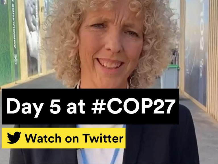 Day 5 at #COP27