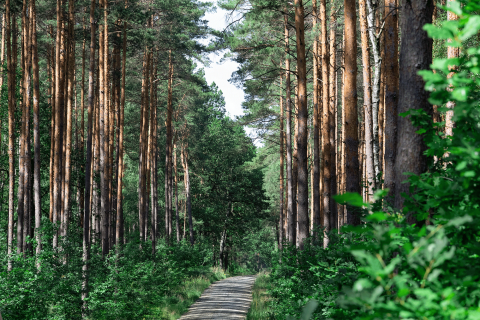 deutschland.de - Your link to Germany